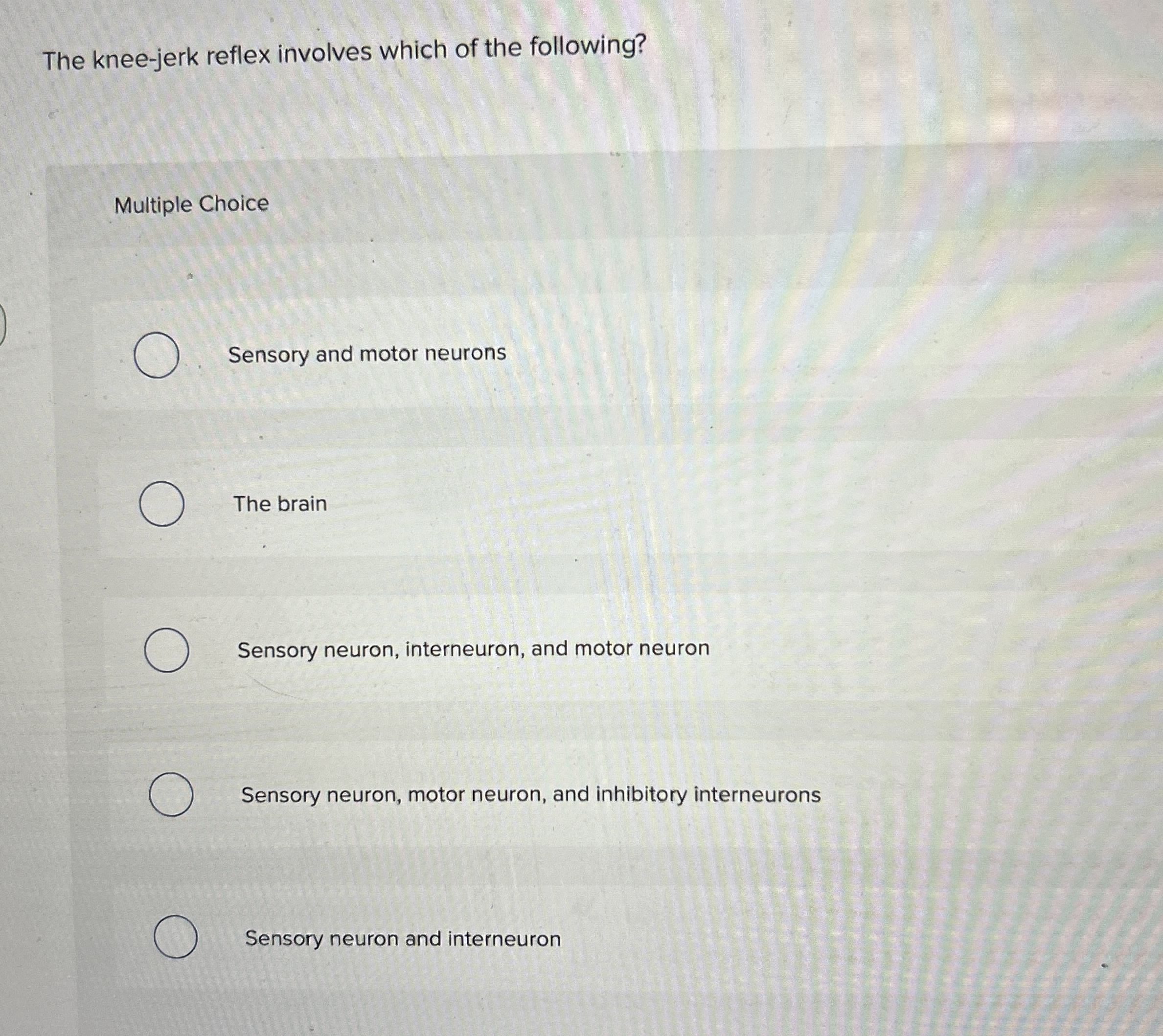 Solved The knee-jerk reflex involves which of the | Chegg.com
