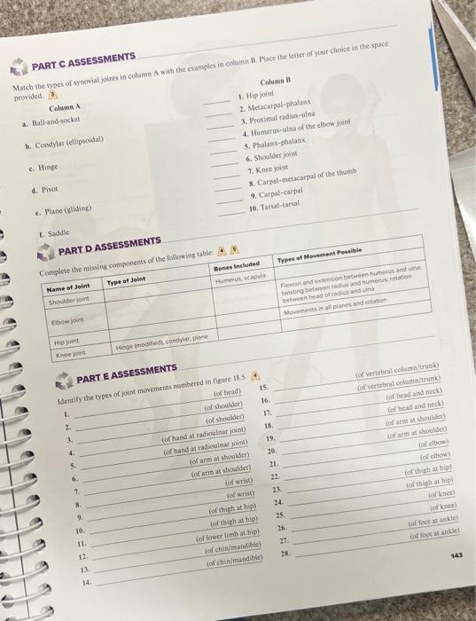 PART C ASSESSMENTS Match the types of synovial joints | Chegg.com