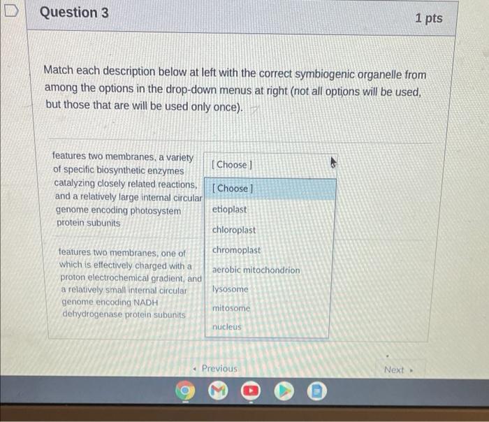 Question 3 1 pts Match each description below at left | Chegg.com