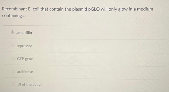 Solved Recombinant E. coli that contain the plasmid pGLO | Chegg.com