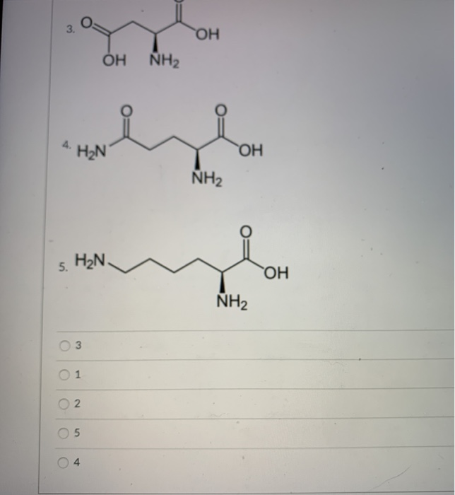 Solved Question 32 Oxaloacetate is transaminated to what | Chegg.com
