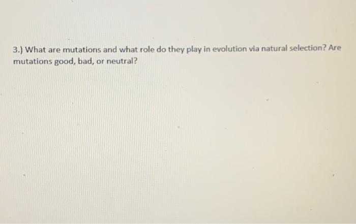 Solved Questions to Rock Pocket Mouse Video Please answer in | Chegg.com