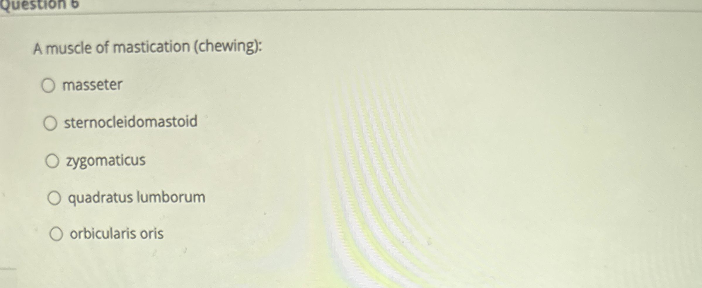 Solved A muscle of mastication | Chegg.com