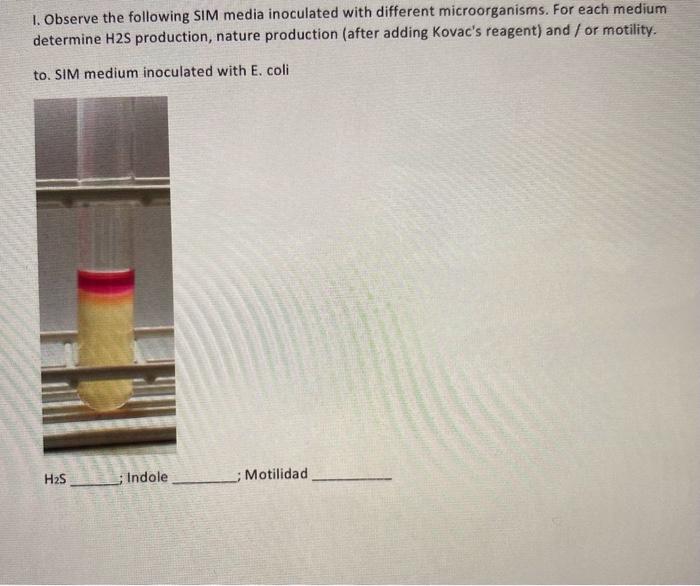 Solved 1. Observe the following SIM media inoculated with | Chegg.com