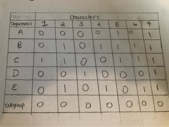 Solved create the most parsimonious tree and mark how and | Chegg.com