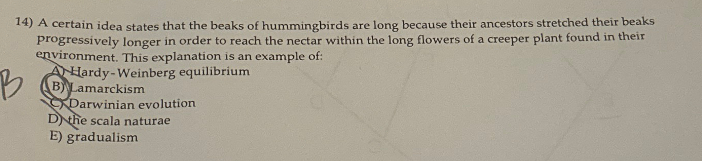 Solved A certain idea states that the beaks of hummingbirds | Chegg.com