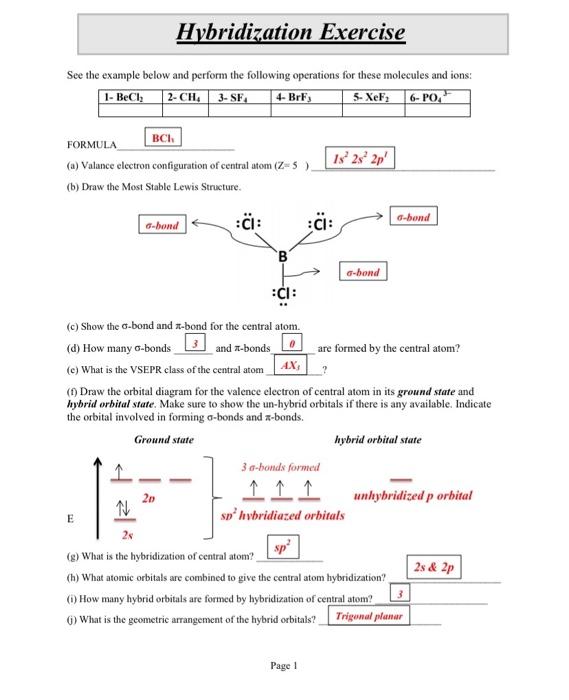 Solved Hybridization Exercise See the example below and | Chegg.com