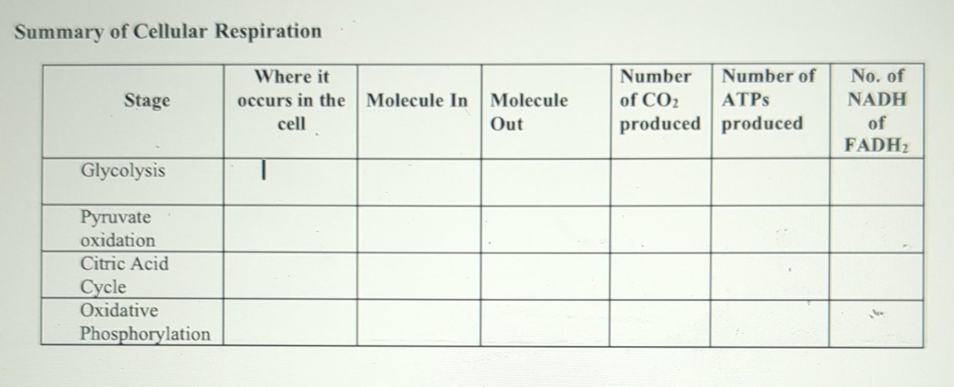 Solved Summary of Cellular Respiration | Chegg.com