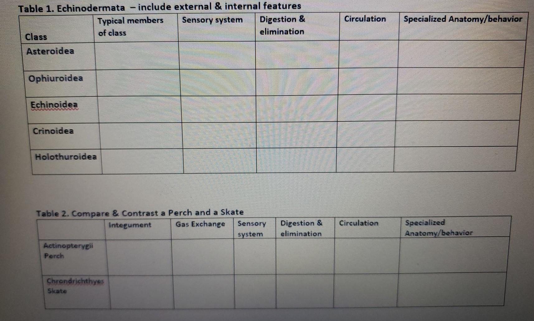 Circulation Specialized Anatomy/behavior Table 1. | Chegg.com