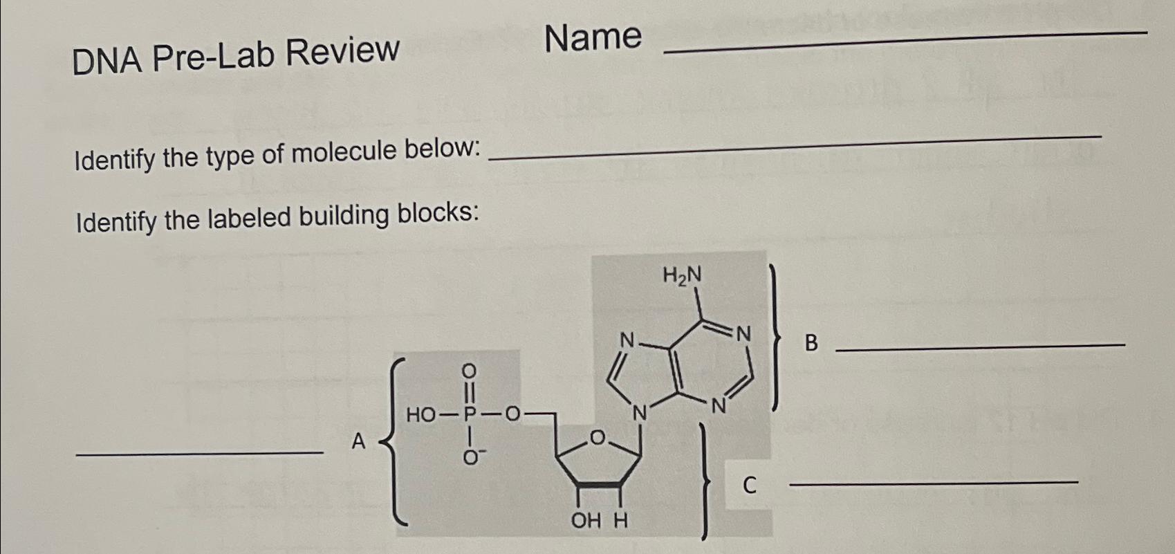 Solved DNA Pre-Lab ReviewNameIdentify the type of molecule | Chegg.com