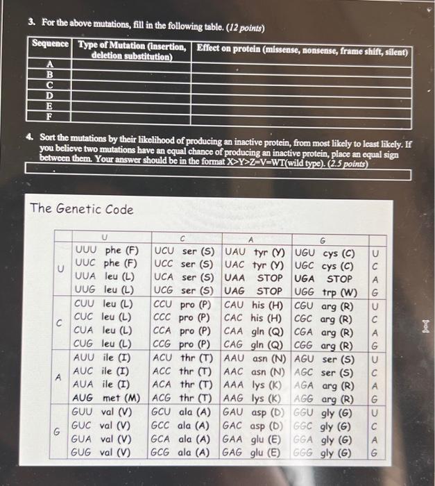 Solved A is being transcribed starting from the far left | Chegg.com