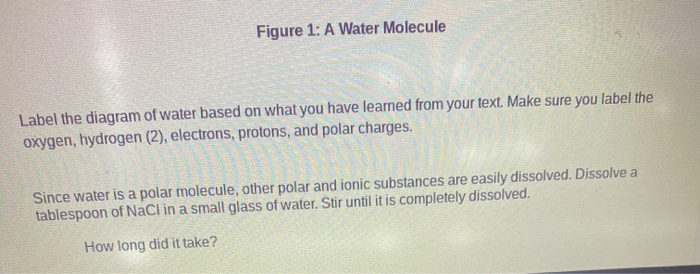 Solved Describe a test that you could complete at home to | Chegg.com