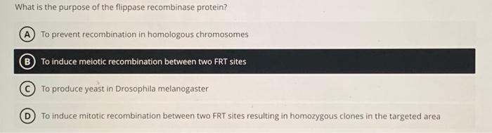 Solved Where is the FRT site located in these fruit flies? | Chegg.com