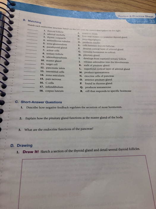 Solved Review & Practice Sheet B. Matching Match each | Chegg.com