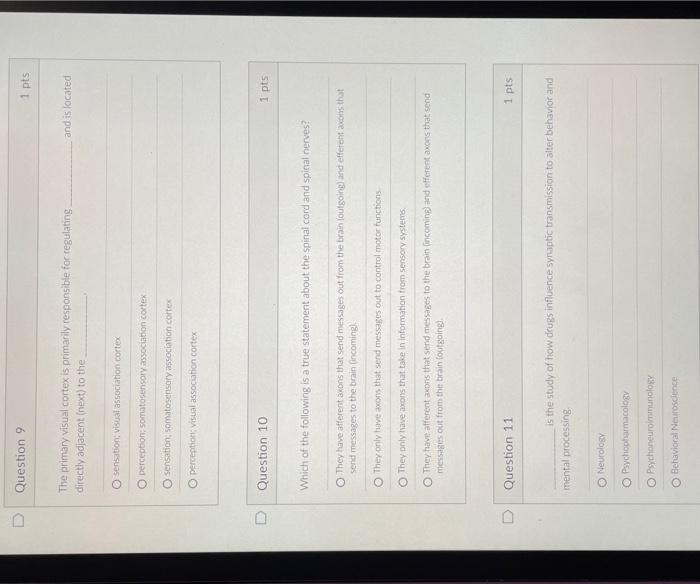 Solved D Question 9 The primary visual cortex is primarily | Chegg.com