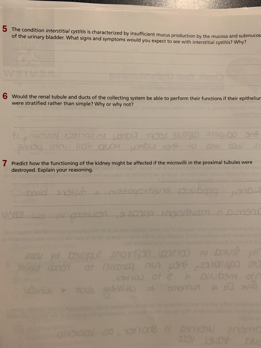 Solved Name Section Date UNIT 25 REVIEW Check Your | Chegg.com