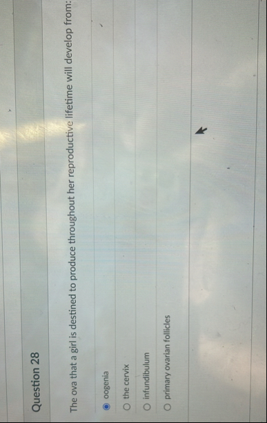 Question 28The ova that a girl is destined to produce | Chegg.com