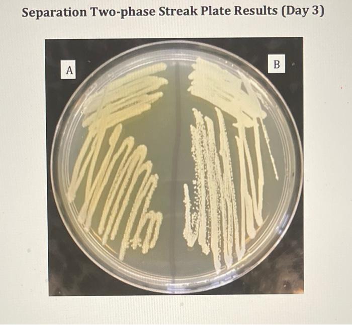 Solved க DED B A NO Separation Two-phase Streak Plate | Chegg.com
