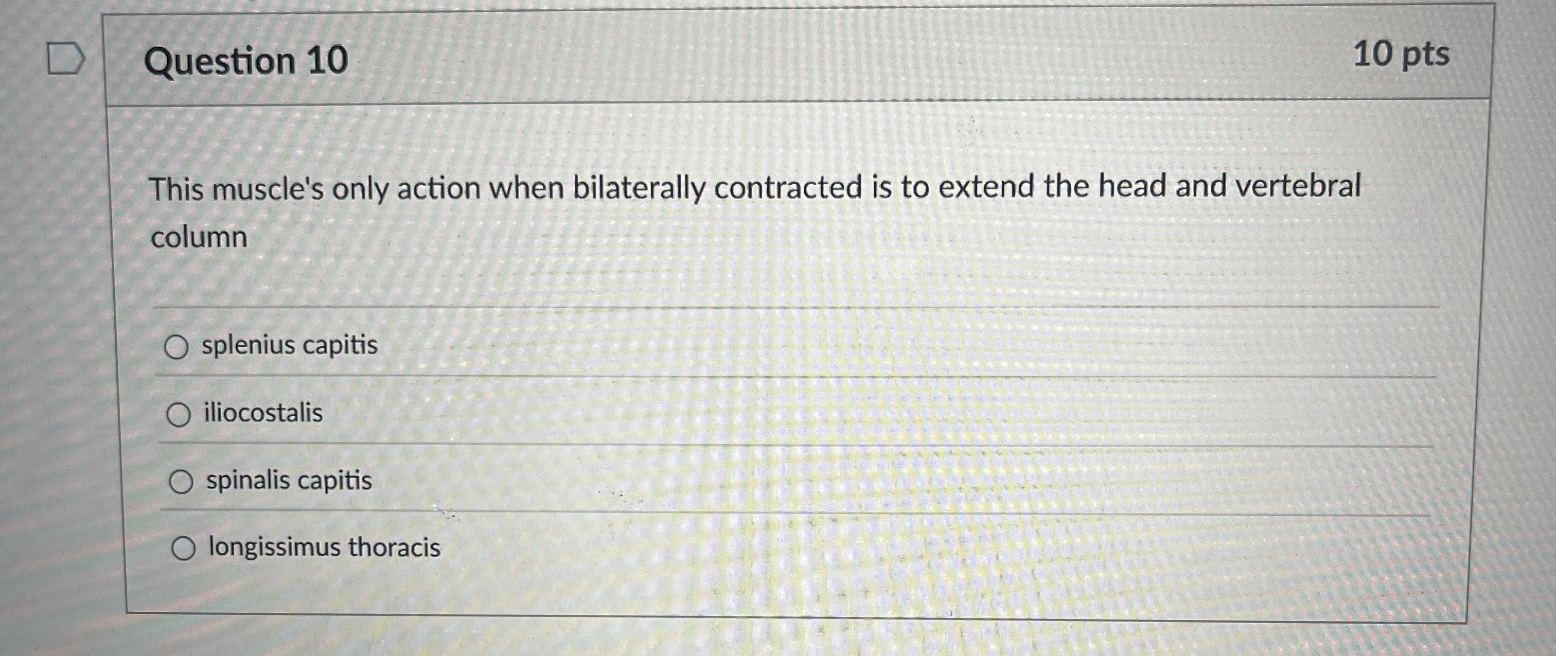 Solved Question 10This muscle's only action when bilaterally | Chegg.com