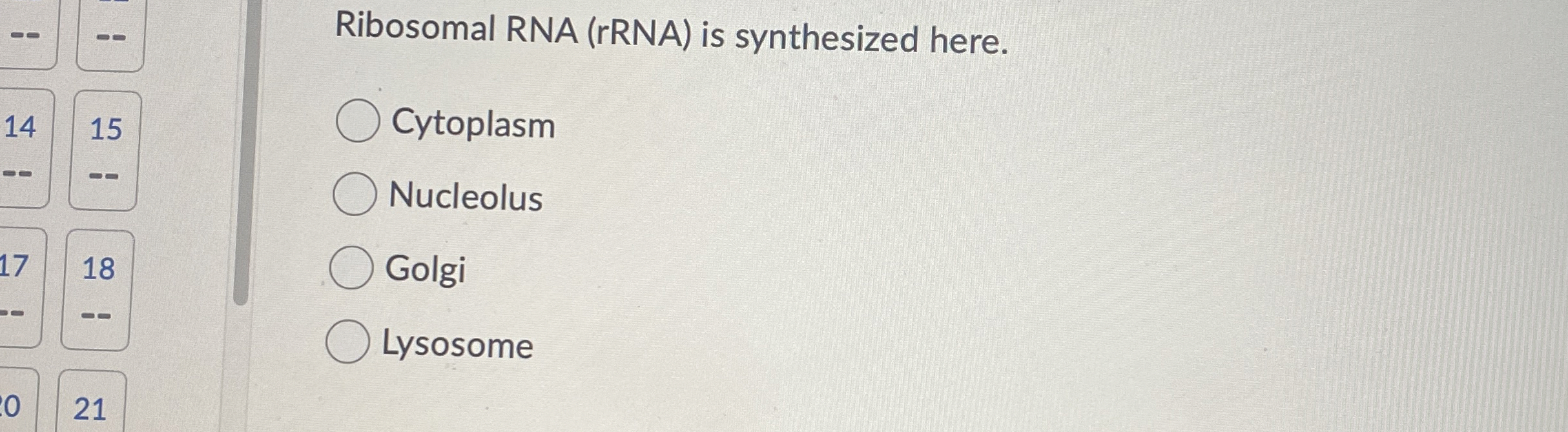 Solved Ribosomal RNA (rRNA) ﻿is synthesized | Chegg.com