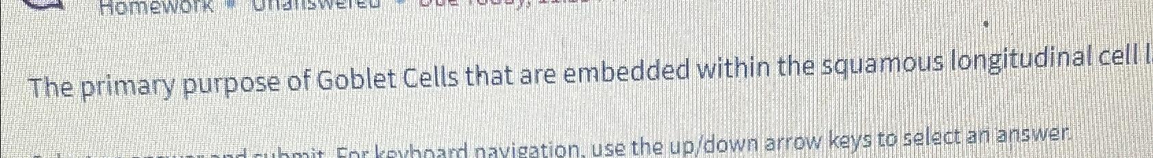 Solved The primary purpose of Goblet Cells that are embedded | Chegg.com