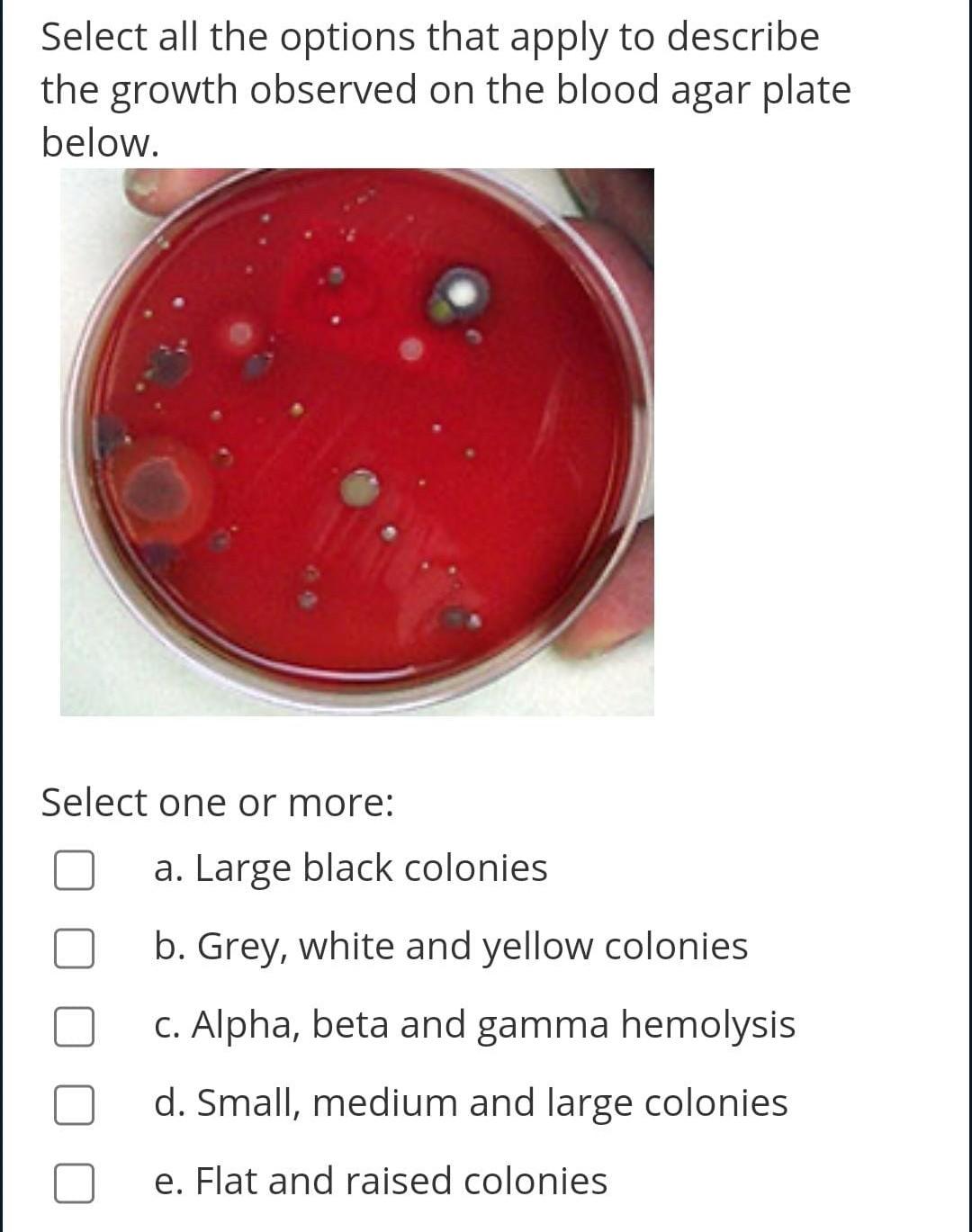 Solved Select all the options that apply to describe the | Chegg.com