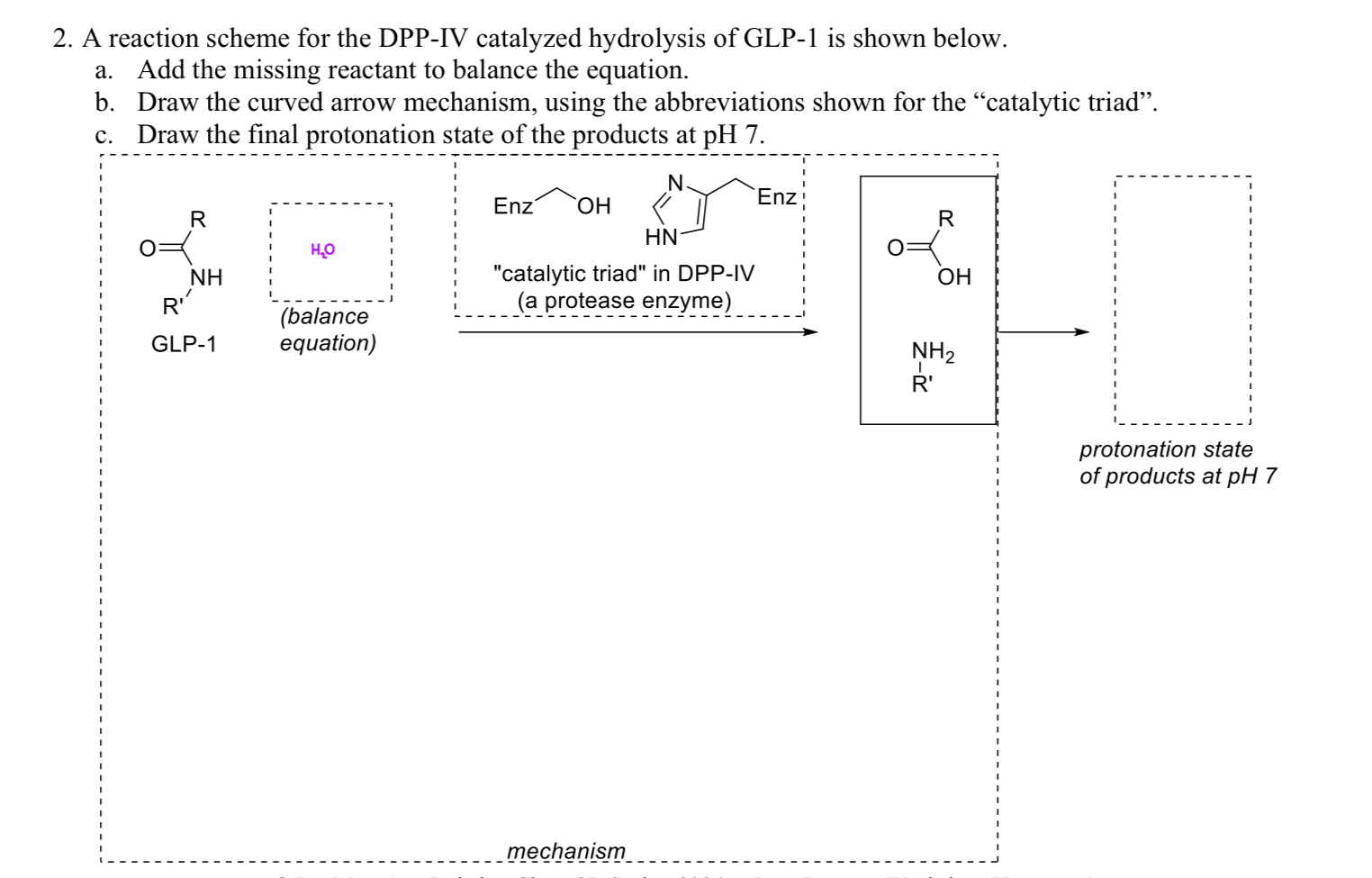 Solved A reaction scheme for the DPP-IV catalyzed hydrolysis | Chegg.com