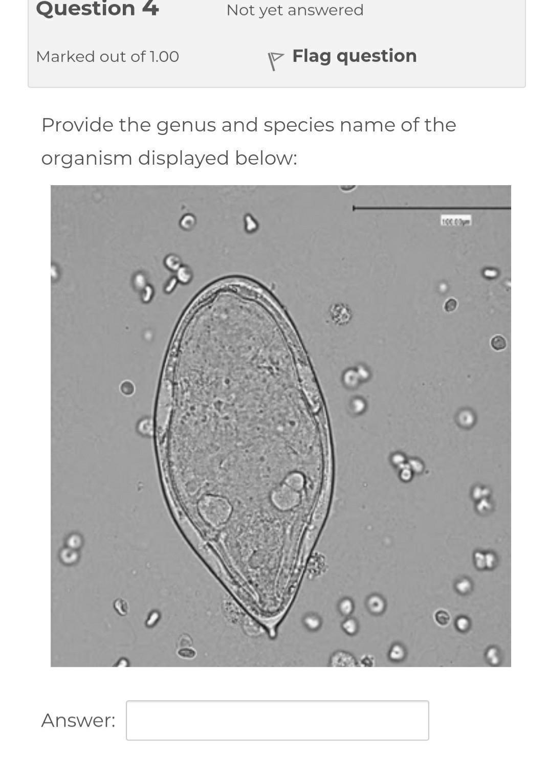 Solved Provide the genus and species name of the organism | Chegg.com