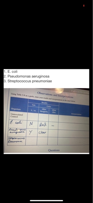 Solved 1. E.coli 2. Pseudomonas aeruginosa 3. Streptococcus | Chegg.com