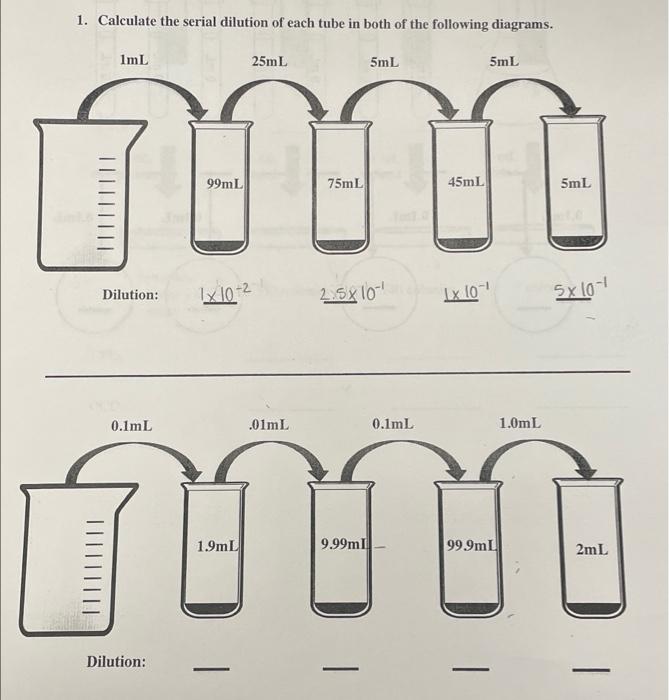 Solved 1. Calculate the serial dilution of each tube in both | Chegg.com