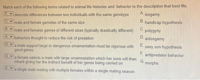 Solved Match each of the following terms related to animal | Chegg.com