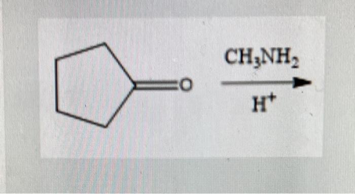 Solved MgCI 1. CO2 2. H307 O PhCOOH O PhC=0(H) O PhOH O | Chegg.com