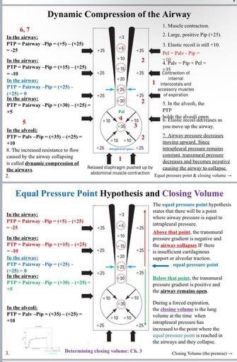 Solved Describe what is being illustrated in the static | Chegg.com