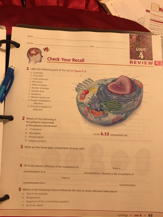 Solved UNIT Check Your Recall REVIEW 4 1 label the following | Chegg.com
