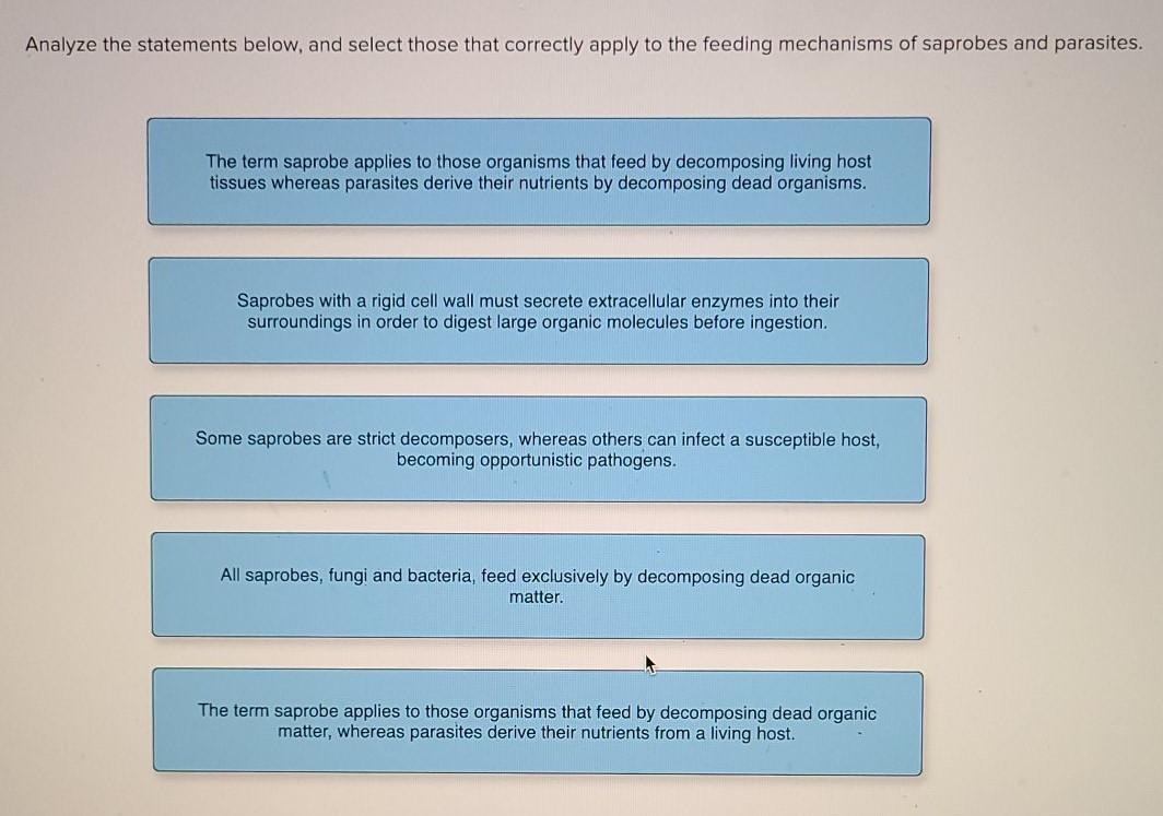 Solved Analyze the statements below, and select those that | Chegg.com