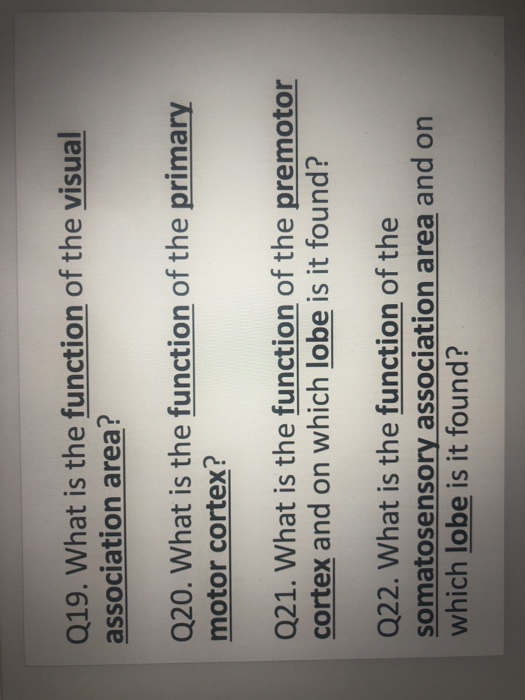 Solved Q19. What is the function of the visual association | Chegg.com