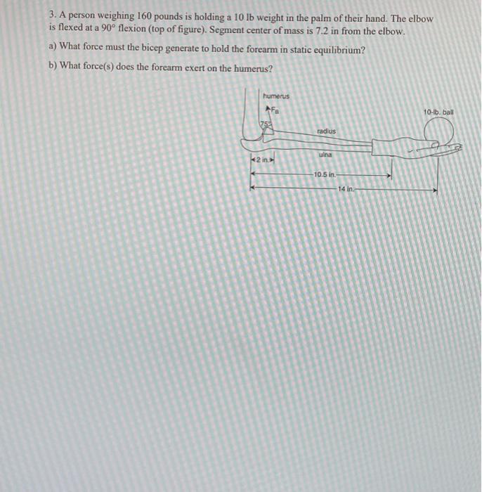 Solved 3. A person weighing 160 pounds is holding a 10lb | Chegg.com