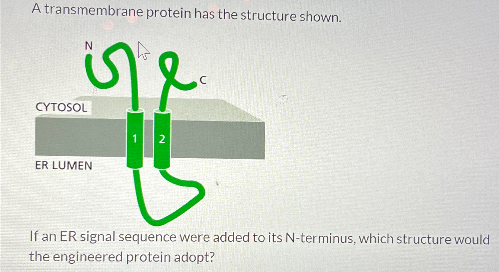 Solved A transmembrane protein has the structure shown.If an | Chegg.com