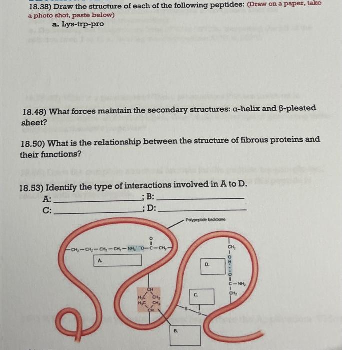 Solved 18.38) Draw the structure of each of the following | Chegg.com