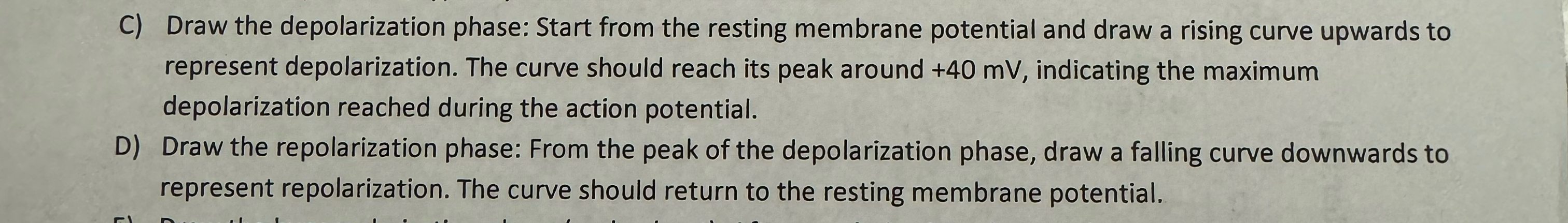 Solved C ﻿draw The Depolarization Phase Start From The