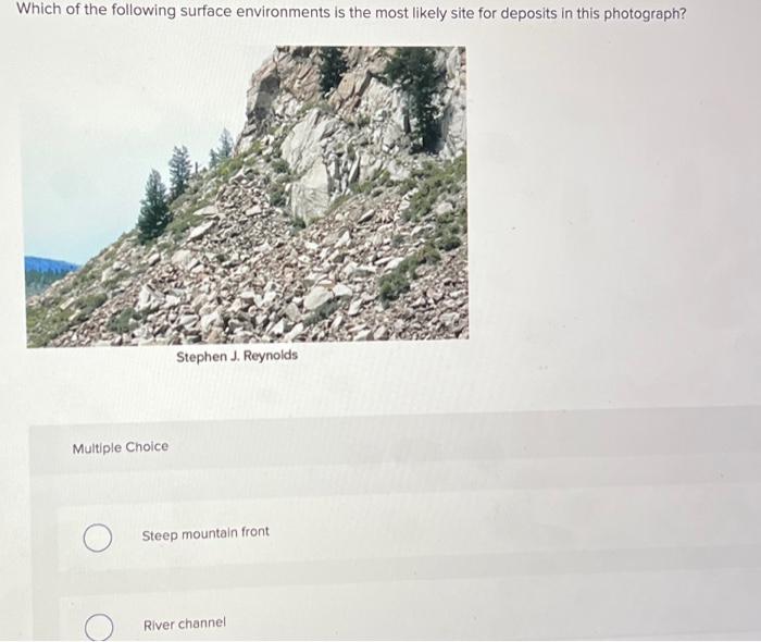 Solved Which of the following surface environments is the | Chegg.com