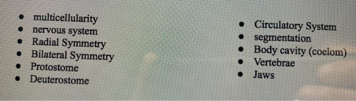 Solved for a sea star (echinoderm) can you label all key | Chegg.com