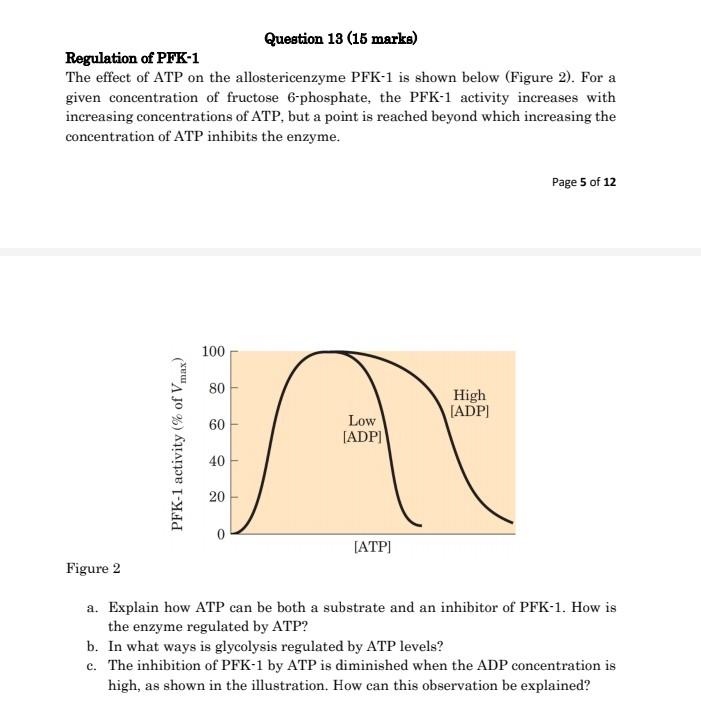 Solved Question 13 (15 marks) Regulation of PFK-1 The effect | Chegg.com