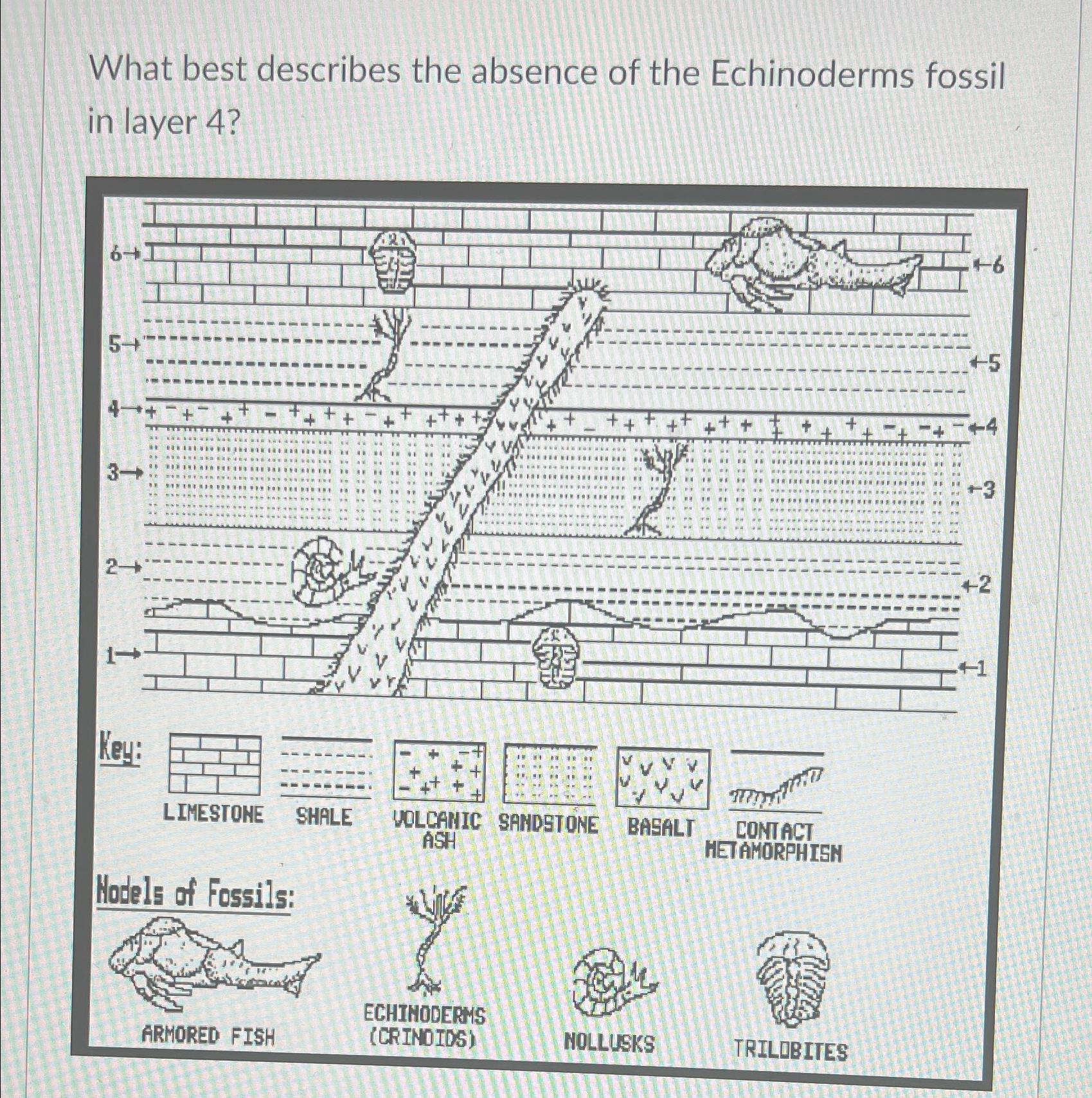 Solved What best describes the absence of the Echinoderms | Chegg.com