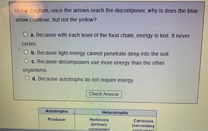 Solved In the diagram, once the arrows reach the decomposer, | Chegg.com