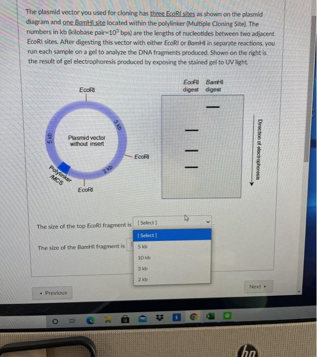 Solved The plasmid vector you used for cloning has three | Chegg.com