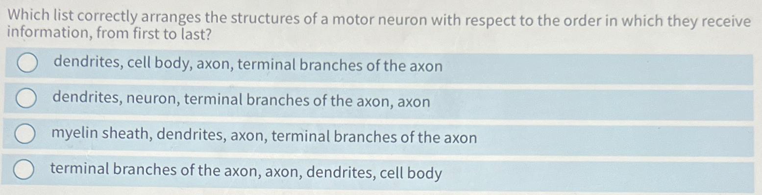 Solved Which list correctly arranges the structures of a | Chegg.com