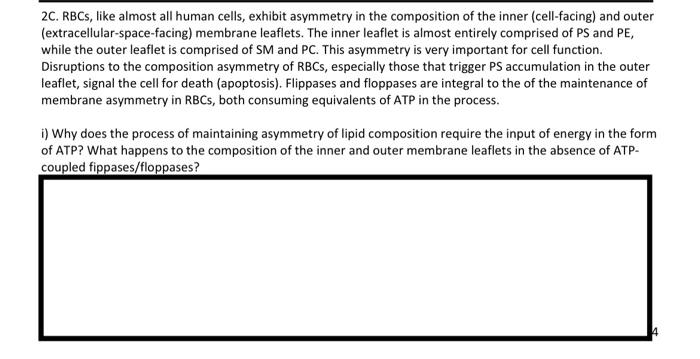 Solved 2C. RBCs, like almost all human cells, exhibit | Chegg.com