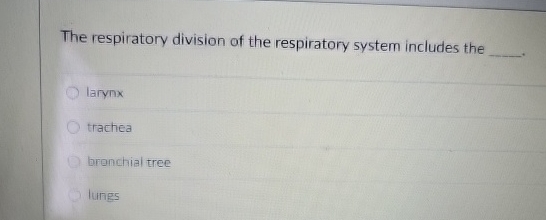 Solved The respiratory division of the respiratory system | Chegg.com