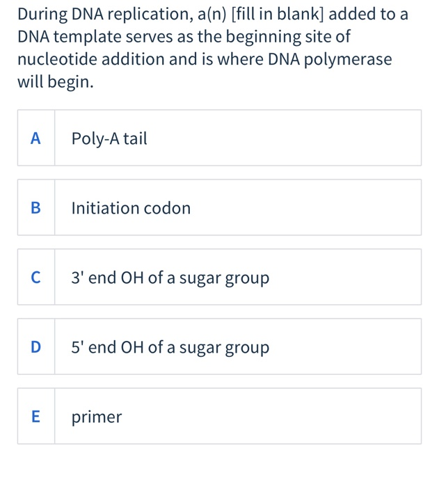 Solved During DNA replication, a(n) [fill in blank] added to | Chegg.com
